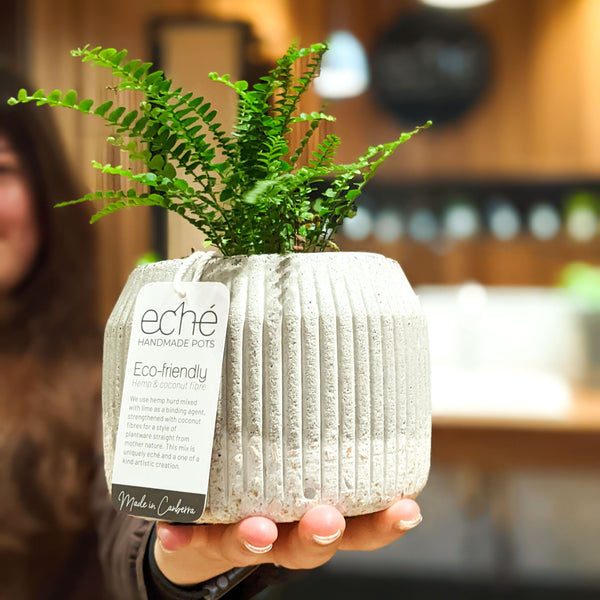 Eché Hemp & Coconut - RIB pot